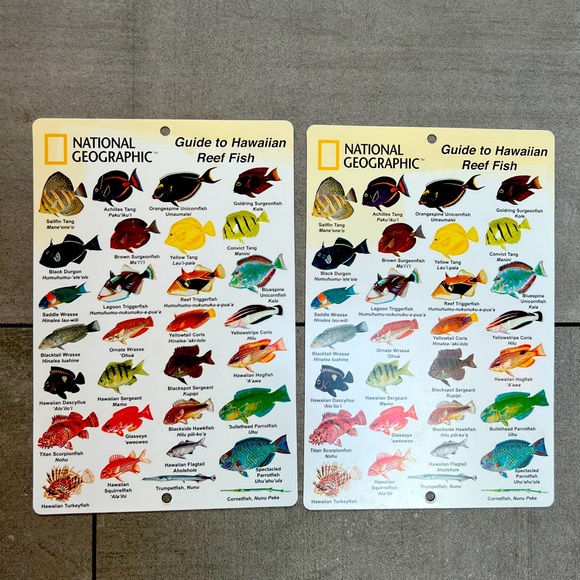 National Geographic | Other | Set Of 2 Hawaiian Reef Fish Guides Fr ...